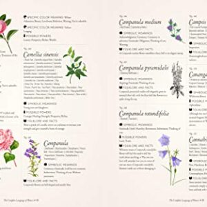 The Complete Language of Flowers: A Definitive and Illustrated History (Volume 3) (Complete Illustrated Encyclopedia, 3)