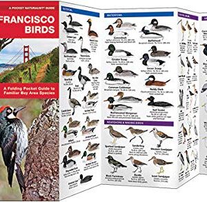 San Francisco Birds: A Folding Pocket Guide to Familiar Bay Area Species (Nature Observation North America)