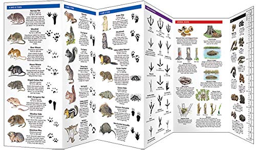 Animal Tracks: A Folding Pocket Guide to the Tracks & Signs of Familiar North American Species (Nature Observation North America)