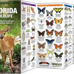 Florida Wildlife: A Folding Pocket Guide to Familiar Animals (Nature Observation North America)