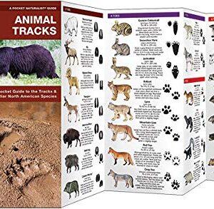 Animal Tracks: A Folding Pocket Guide to the Tracks & Signs of Familiar North American Species (Nature Observation North America)