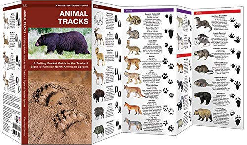 Animal Tracks: A Folding Pocket Guide to the Tracks & Signs of Familiar North American Species (Nature Observation North America)