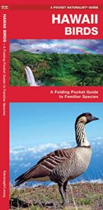 hawaii birds: a folding pocket guide to familiar species (a pocket naturalist guide)