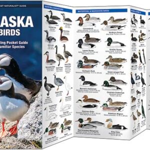 Alaska Birds: A Folding Pocket Guide to Familiar Species (Nature Observation North America)