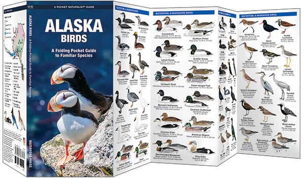 Alaska Birds: A Folding Pocket Guide to Familiar Species (Nature Observation North America)