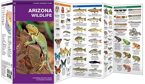 Arizona Wildlife: A Folding Pocket Guide to Familiar Animals (Nature Observation North America)