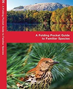 Georgia Birds: A Folding Pocket Guide to Familiar Species (Nature Observation North America)