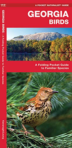 Georgia Birds: A Folding Pocket Guide to Familiar Species (Nature Observation North America)