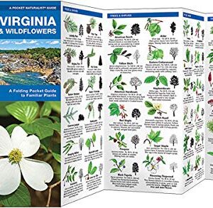 Virginia Trees & Wildflowers: A Folding Pocket Guide to Familiar Plants (Nature Observation North America)