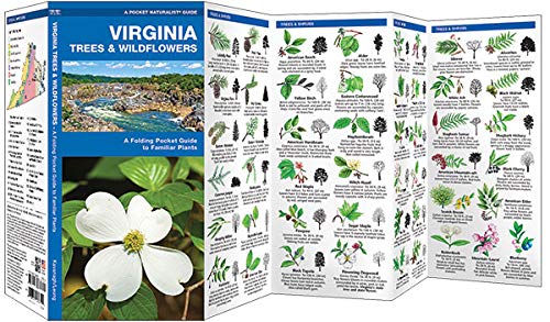 Virginia Trees & Wildflowers: A Folding Pocket Guide to Familiar Plants (Nature Observation North America)