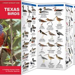 Texas Birds: A Folding Pocket Guide to Familiar Species (Nature Observation North America)