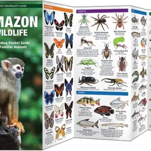 Amazon Wildlife: A Folding Pocket Guide to Familiar Animals (Nature Observation International)