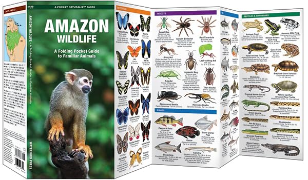 Amazon Wildlife: A Folding Pocket Guide to Familiar Animals (Nature Observation International)