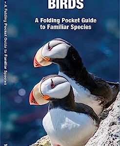 Alaska Birds: A Folding Pocket Guide to Familiar Species (Nature Observation North America)