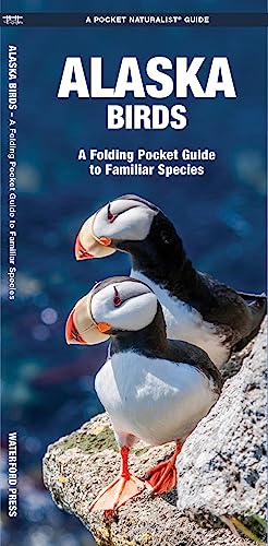 Alaska Birds: A Folding Pocket Guide to Familiar Species (Nature Observation North America)