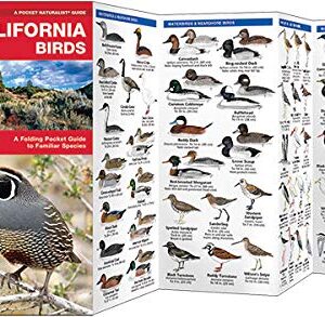 California Birds: A Folding Pocket Guide to Familiar Species (Nature Observation North America)