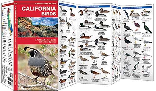 California Birds: A Folding Pocket Guide to Familiar Species (Nature Observation North America)