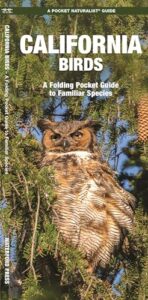 california birds: a folding pocket guide to familiar species (nature observation north america)