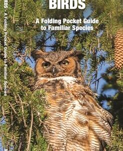 California Birds: A Folding Pocket Guide to Familiar Species (Nature Observation North America)