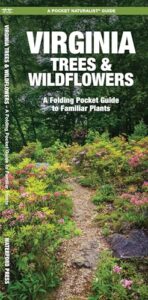 virginia trees & wildflowers: a folding pocket guide to familiar plants (nature observation north america)