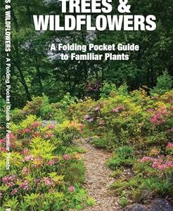 Virginia Trees & Wildflowers: A Folding Pocket Guide to Familiar Plants (Nature Observation North America)