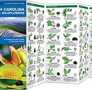 North Carolina Trees & Wildflowers: A Folding Pocket Guide to Familiar Plants (Nature Observation North America)