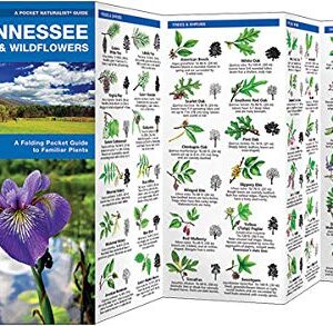 Tennessee Trees & Wildflowers: A Folding Pocket Guide to Familiar Plants (Nature Observation North America)