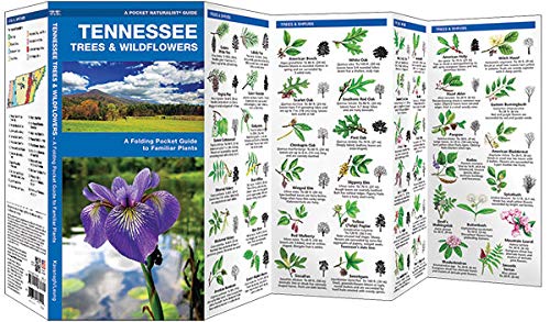 Tennessee Trees & Wildflowers: A Folding Pocket Guide to Familiar Plants (Nature Observation North America)