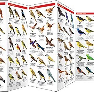 Monteverde Birds: A Folding Pocket Guide to Familiar Species of Costa Rica's Monteverde Cloud Forest (Nature Observation International)