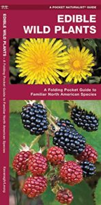 edible wild plants: a folding pocket guide to familiar north american species (nature observation north america)