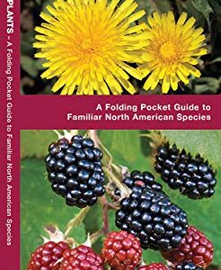 Edible Wild Plants: A Folding Pocket Guide to Familiar North American Species (Nature Observation North America)