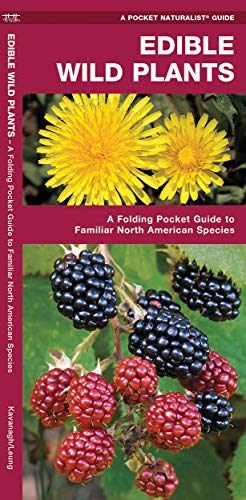 Edible Wild Plants: A Folding Pocket Guide to Familiar North American Species (Nature Observation North America)