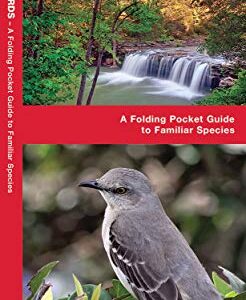 Arkansas Birds: A Folding Pocket Guide to Familiar Species (Nature Observation North America)