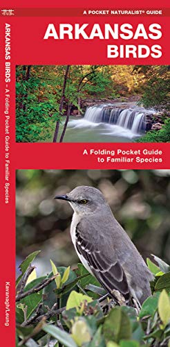 Arkansas Birds: A Folding Pocket Guide to Familiar Species (Nature Observation North America)