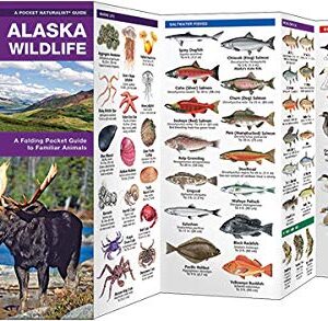 Alaska Wildlife: A Folding Pocket Guide to Familiar Animals (Nature Observation North America)