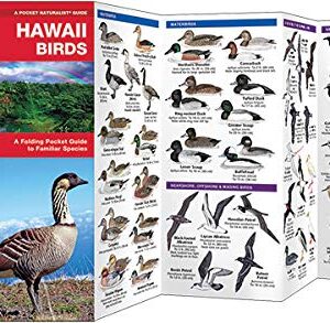 Hawaii Birds: A Folding Pocket Guide to Familiar Species (A Pocket Naturalist Guide)