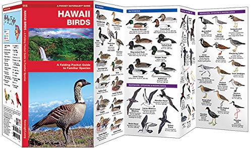 Hawaii Birds: A Folding Pocket Guide to Familiar Species (A Pocket Naturalist Guide)