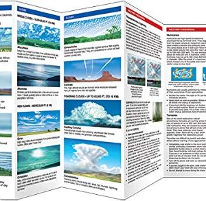 Weather: A Folding Pocket Guide to Clouds, Storms and Weather Patterns (Nature Observation North America)