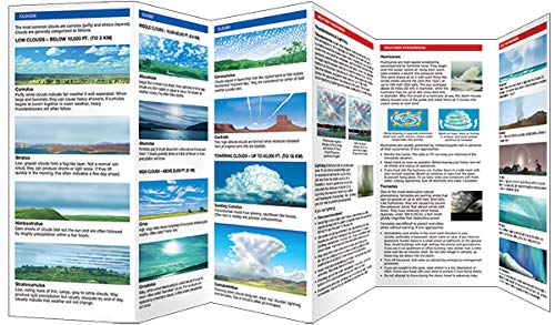 Weather: A Folding Pocket Guide to Clouds, Storms and Weather Patterns (Nature Observation North America)