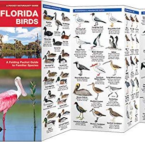 Florida Birds: A Folding Pocket Guide to Familiar Species (Nature Observation North America)