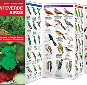 Monteverde Birds: A Folding Pocket Guide to Familiar Species of Costa Rica's Monteverde Cloud Forest (Nature Observation International)