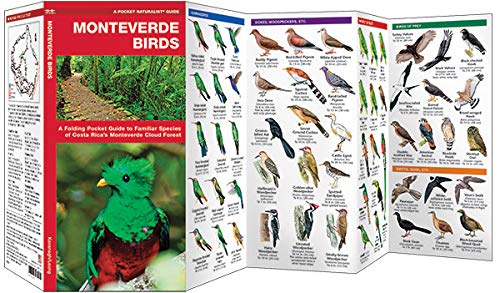 Monteverde Birds: A Folding Pocket Guide to Familiar Species of Costa Rica's Monteverde Cloud Forest (Nature Observation International)