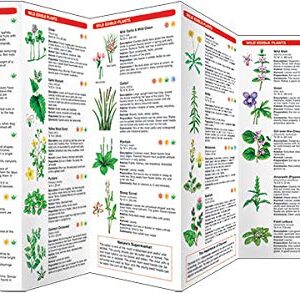 Edible Plants of the Eastern Woodlands: A Folding Guide to Familiar Species (Outdoor Recreation and Survival)