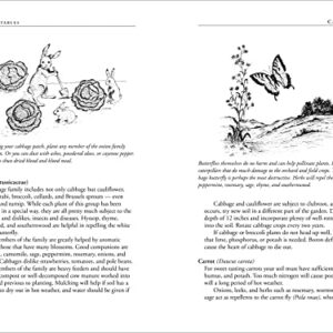 Carrots Love Tomatoes: Secrets of Companion Planting for Successful Gardening