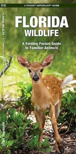 florida wildlife: a folding pocket guide to familiar animals (nature observation north america)