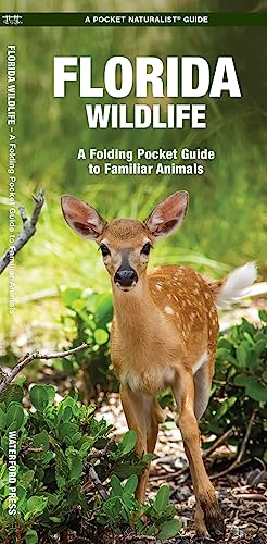 Florida Wildlife: A Folding Pocket Guide to Familiar Animals (Nature Observation North America)