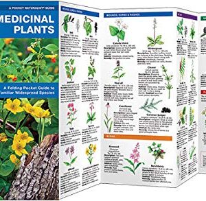 Medicinal Plants: A Folding Pocket Guide to Familiar Widespread Species (Nature Observation North America)