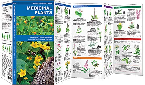 Medicinal Plants: A Folding Pocket Guide to Familiar Widespread Species (Nature Observation North America)