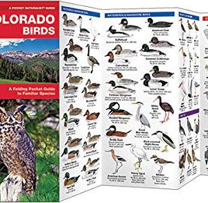 Colorado Birds: A Folding Pocket Guide to Familiar Species (Nature Observation North America)