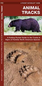 animal tracks: a folding pocket guide to the tracks & signs of familiar north american species (nature observation north america)